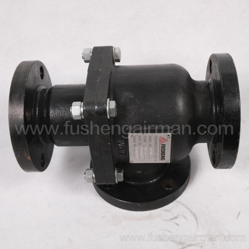 2104080019 Fusheng Genuine Screw Air Compressor Temperature (Thermal ...