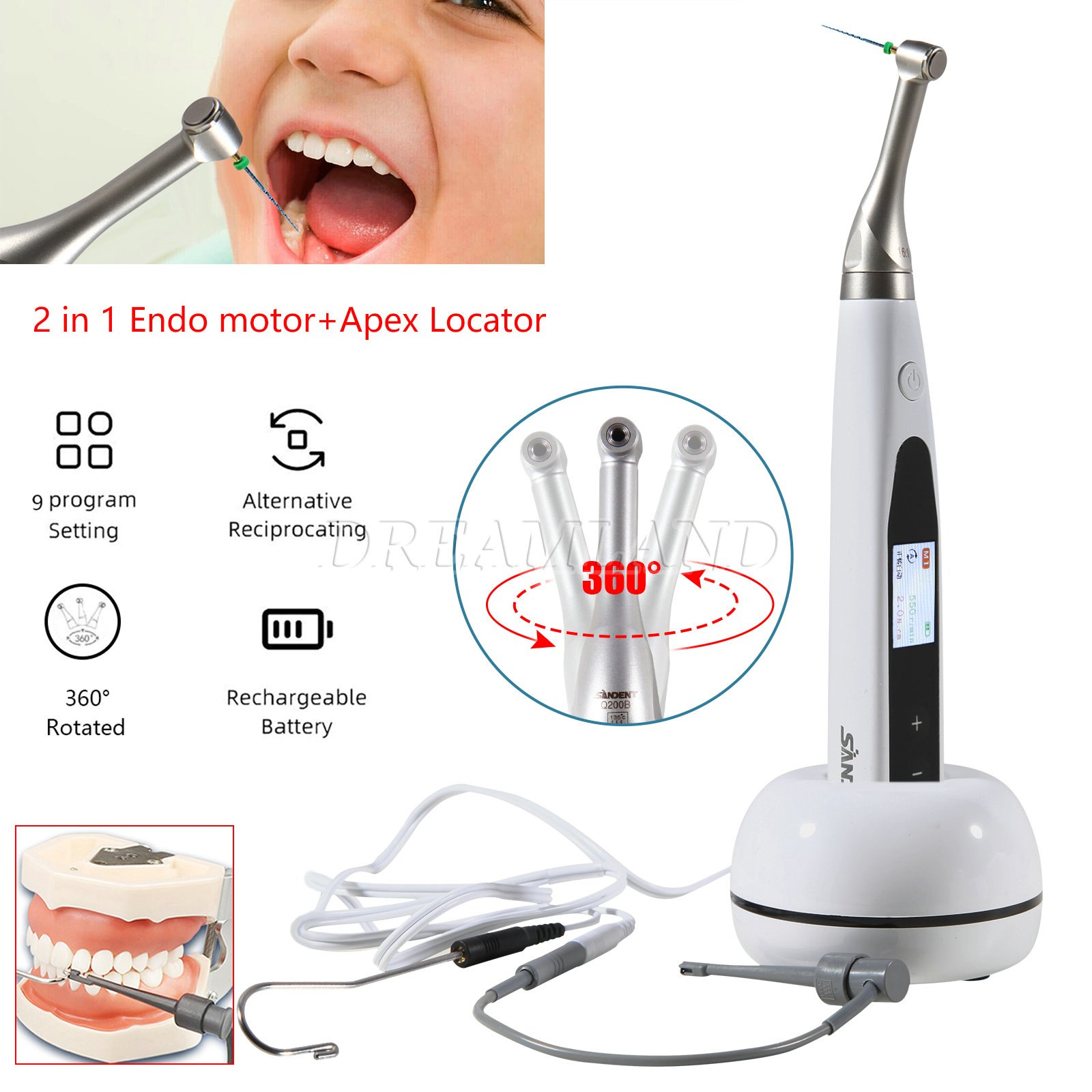 SANDENT 2 in 1 Dental Cordless Endodontics Endo Motor w/ Apex Locator