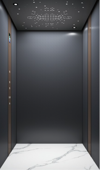 Villa Elevator LCE-VE-B023