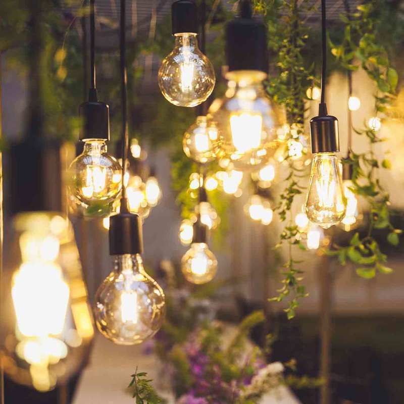 Electrical & Electronic Products