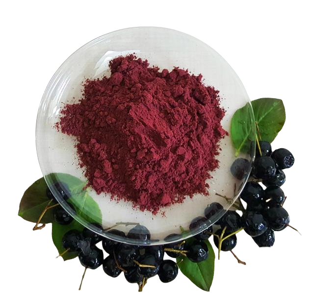Aronia Powder