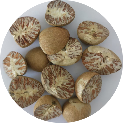 Areca Cut Betel Nut Slices