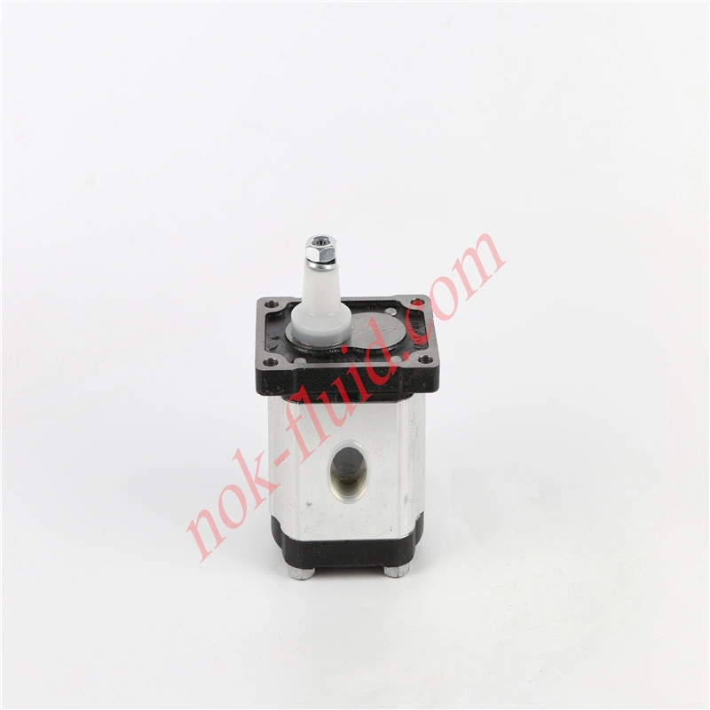 BREVINI GEAR PUMP OT200P14D/G28P2