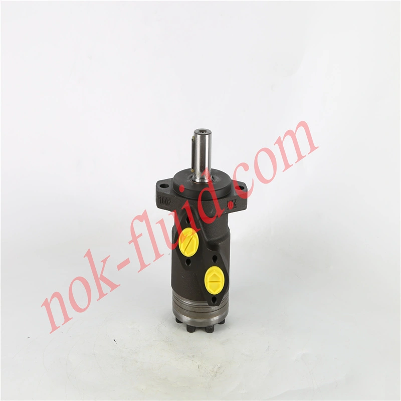 BREVINI HYDRAULIC MOTOR BG100E2ACL250R08