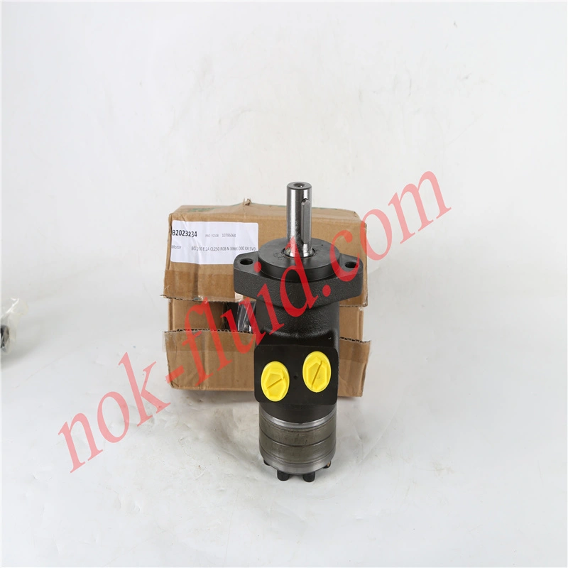 BREVINI HYDRAULIC MOTOR BG200E2ACL250R08