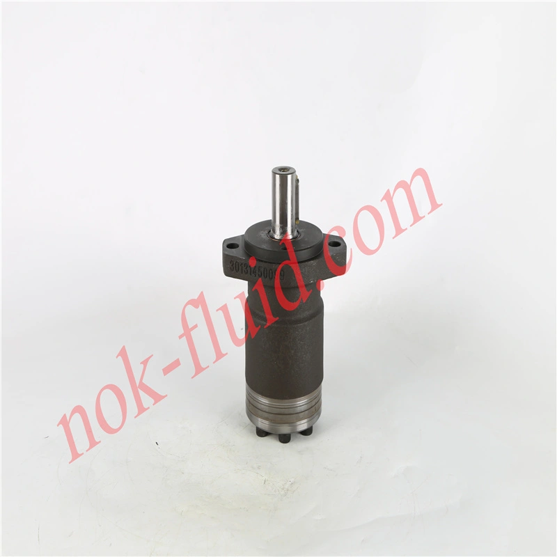 BREVINI HYDRAULIC MOTOR BG100E2ACL250R08