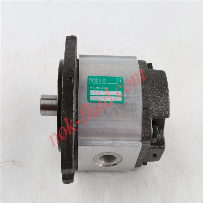 RONZIO GEAR PUMP 02ZMCG17N441Y