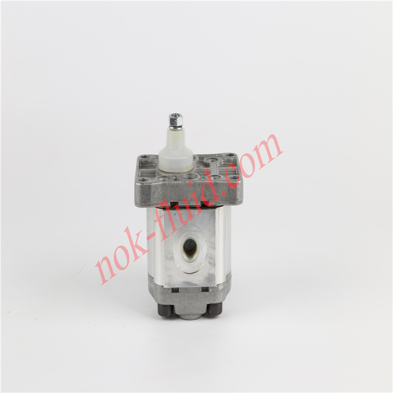 RONZIO GEAR PUMP 01ZA021C406D