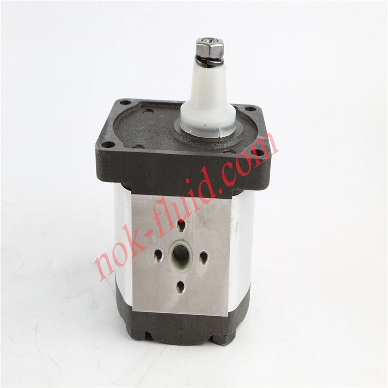 RONZIO GEAR PUMP 02ZAG08C032D