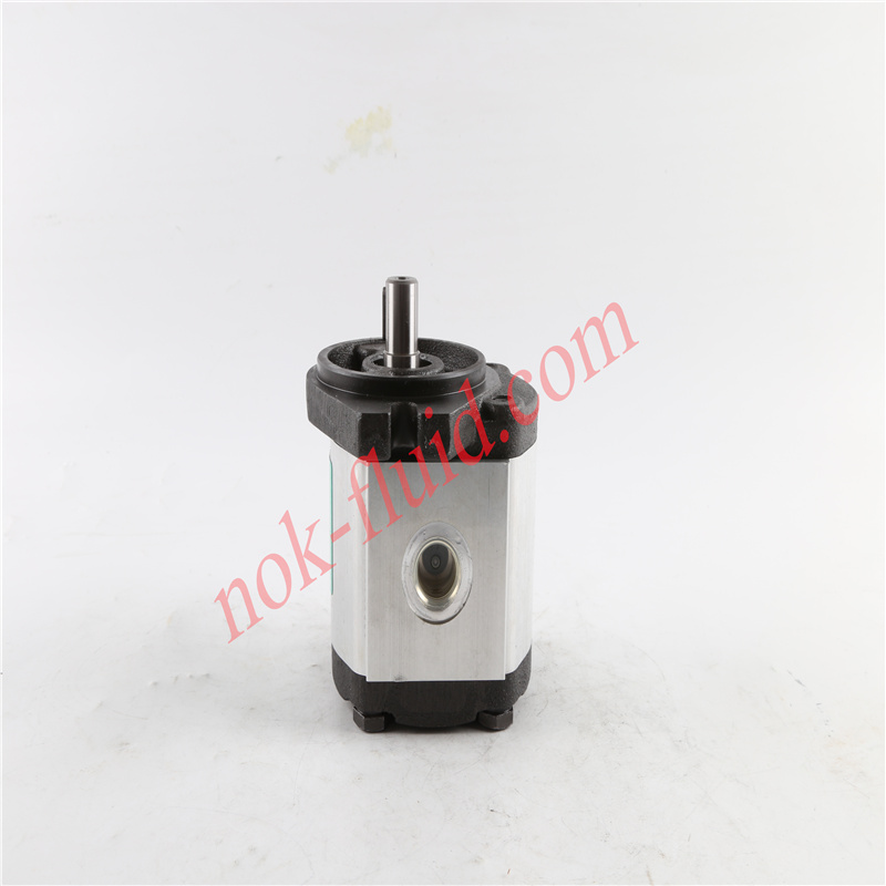 RONZIO GEAR PUMP 02ZCG11L434D