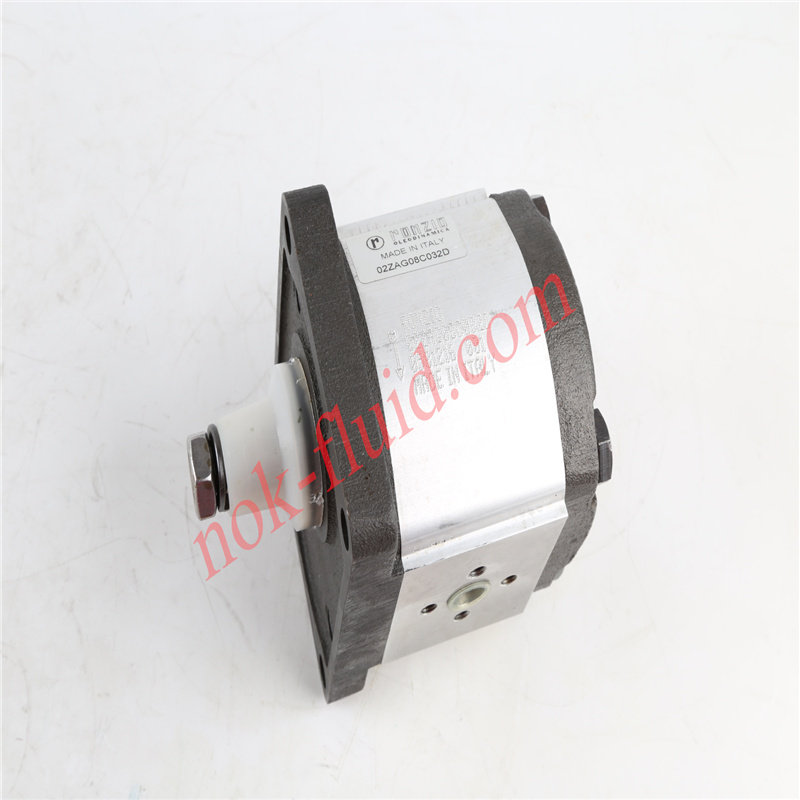 RONZIO GEAR PUMP 02ZAG08C032D