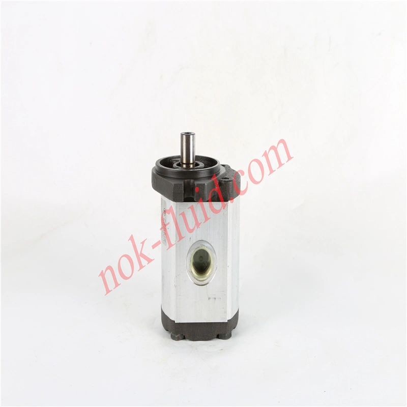 RONZIO GEAR PUMP 02ZCG31N435D0N