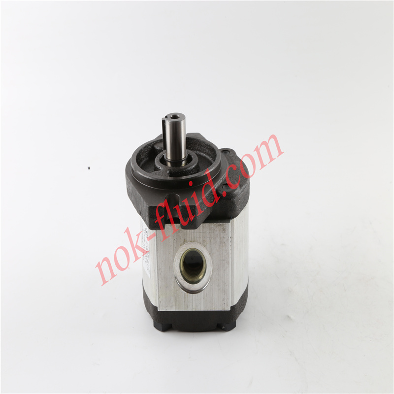 RONZIO GEAR PUMP 02ZCG08N437D
