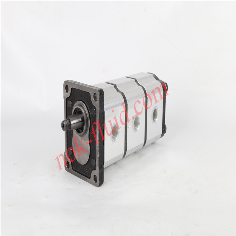 BREVINI GEAR PUMP OT100P40D/G18P1 PS1007067D