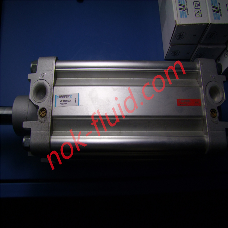 UNIVER CYLINDER KS1000097AM