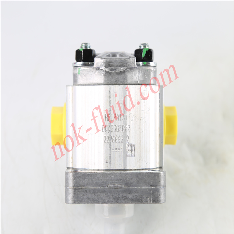 BONDIOLI GEAR PUMP HPLPA131DDDG3G3B00