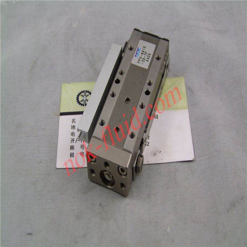 New era Pneumatic Cylinder PPU-**10-30-TP