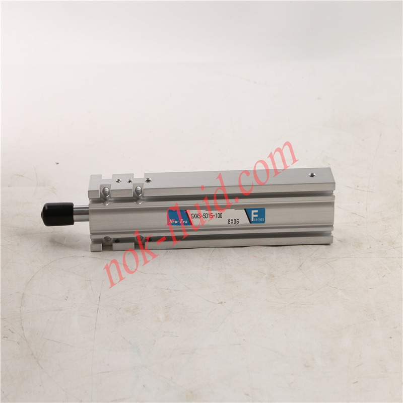 New era Pneumatic Cylinder GXAS-SD15-100