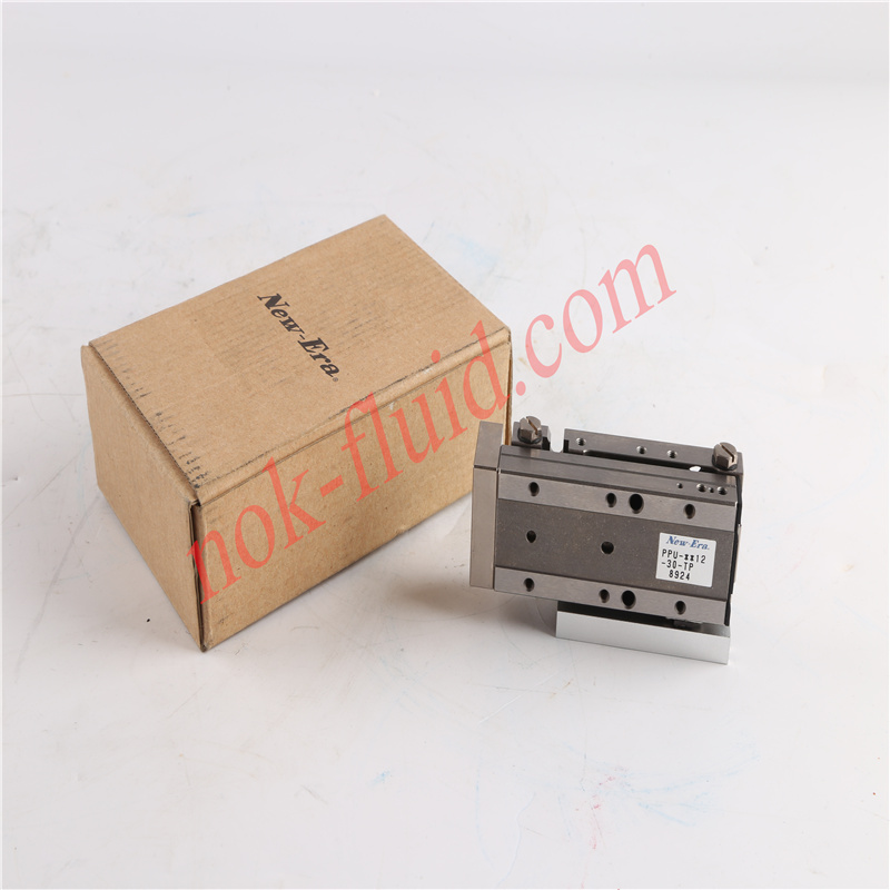 New era Pneumatic Cylinder PPUS-SD12-30-TP