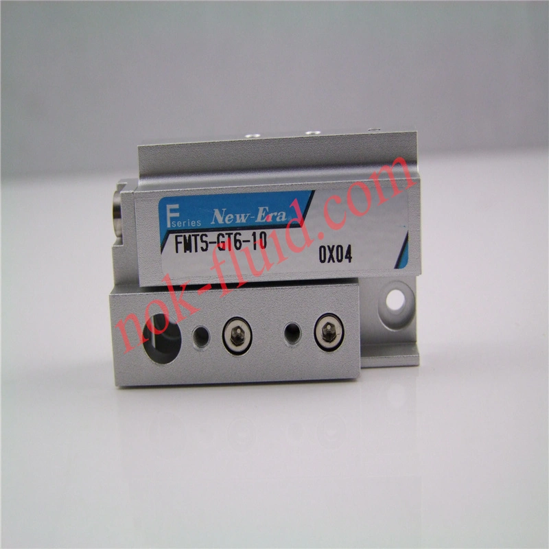 New era Pneumatic Cylinder FMTS-GT6-10