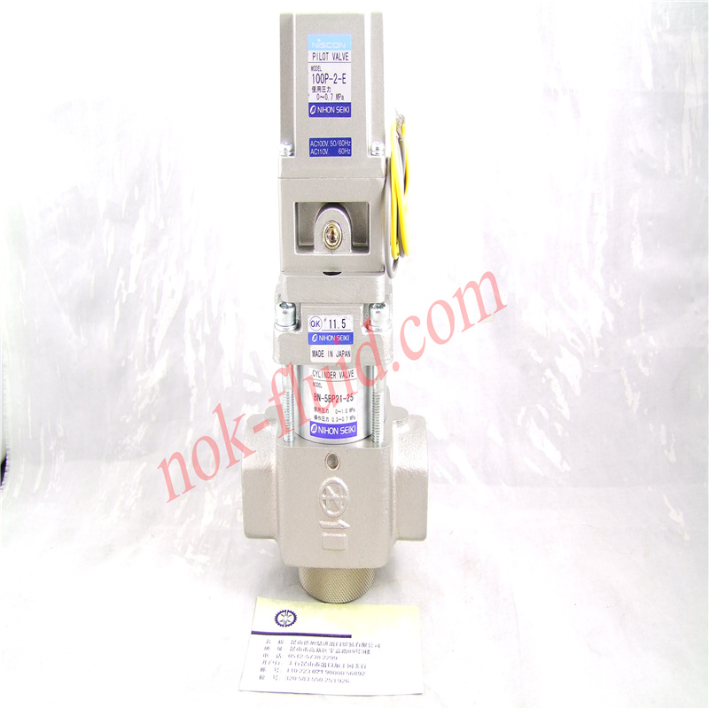 NISCON Solenoid valve BN-5BP21-25-E-110 AC110V