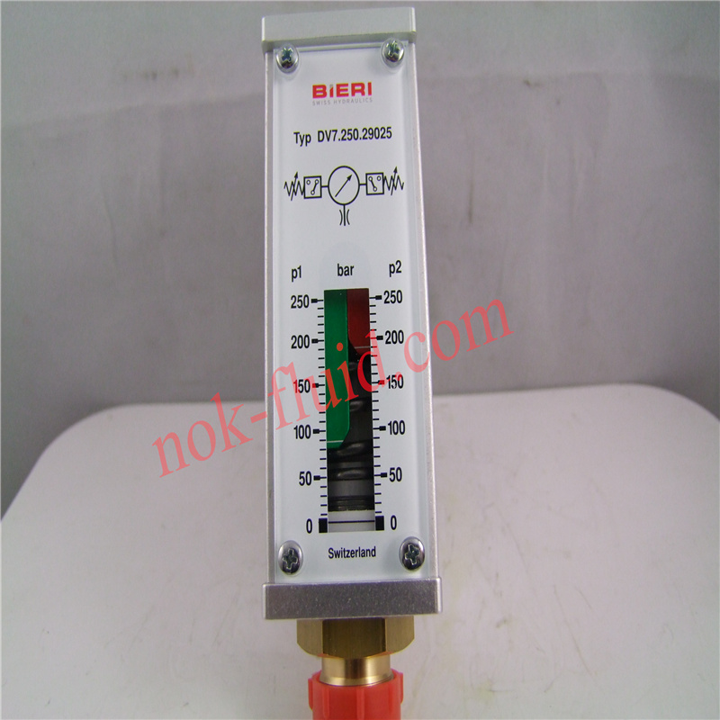 BIERI PRESSURE SWITCH DV7.250.29025