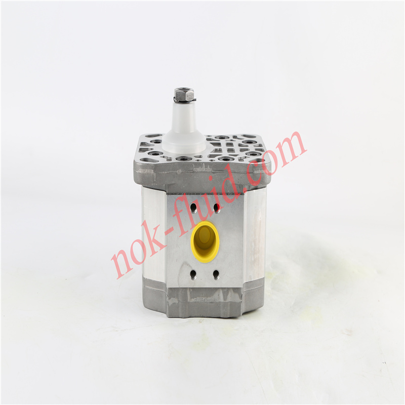 HPI GEAR PUMP P3BAN3025HL10B03N（C5082715）