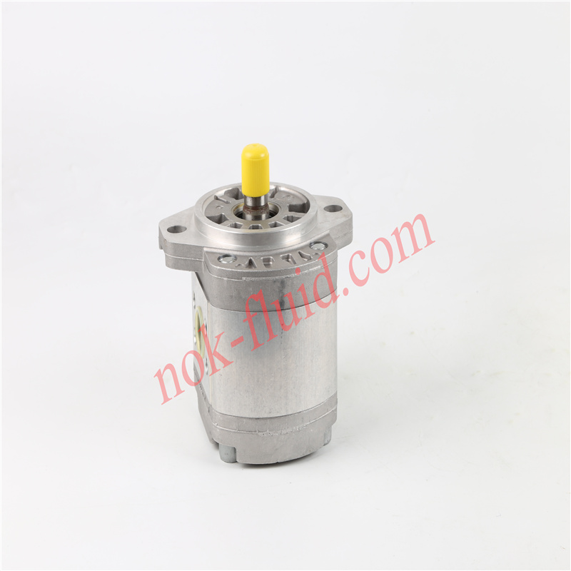 HPI GEAR PUMP P1AAN2004YL20A01N C5075498