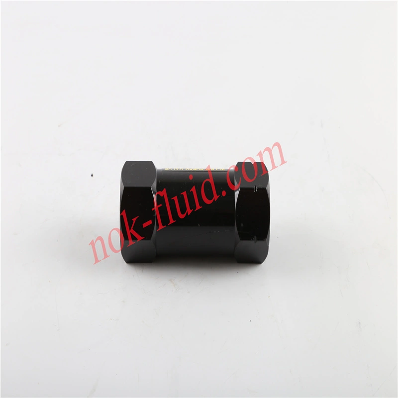 HP CHECK VALVE HC1200-PT 3/4"