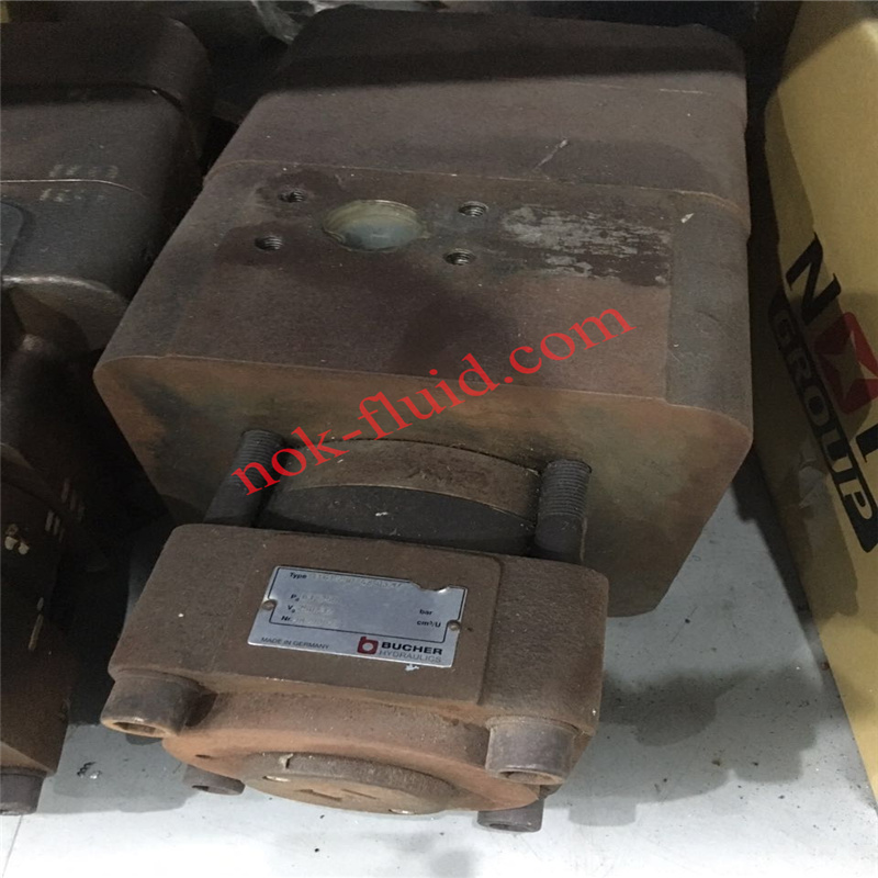 BUCHER Hydraulic Double Pump QT61-250/43-032R