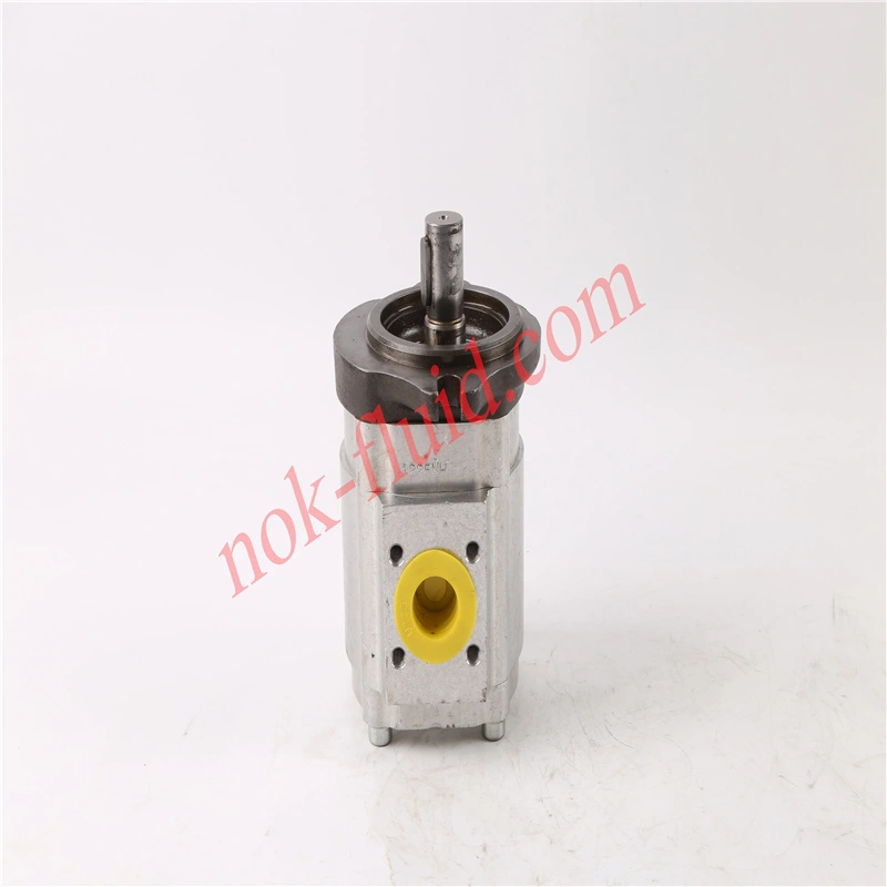 ECKERLE Gear pump EIPS2-023RA04-12S111