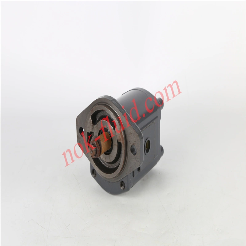 KRACHT GEAR PUMP KP1/22A10AK0A4NL1