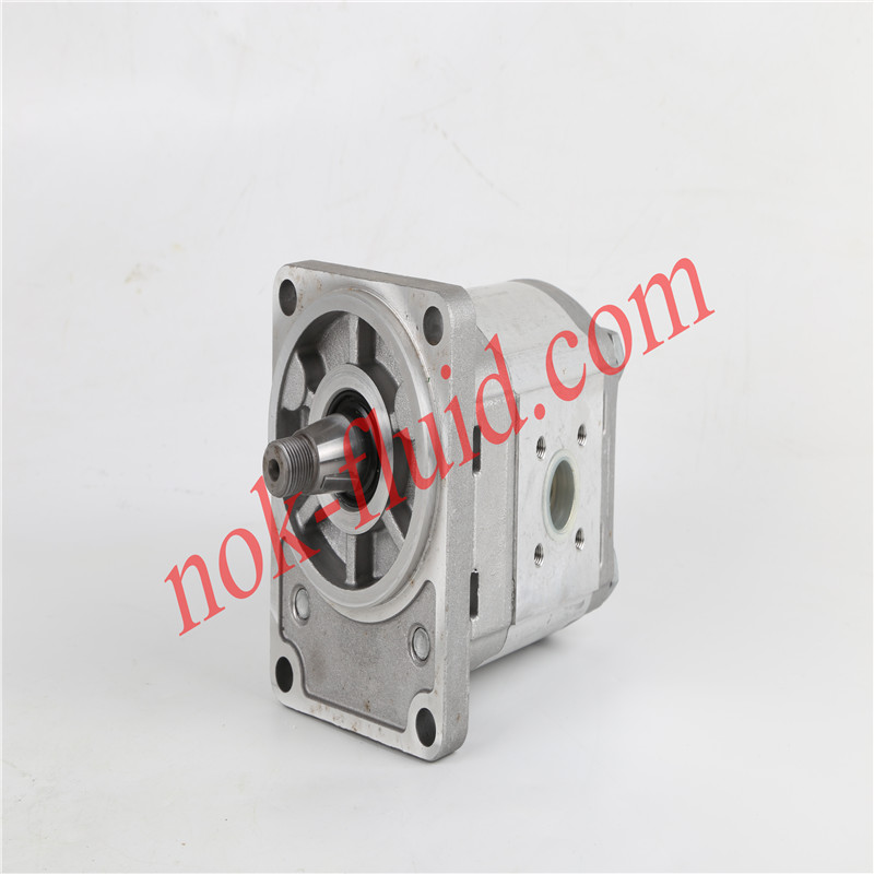 CASAPPA GEAR MOTOR PLM20.9S5-55B2-LBE/BE-N-EL-C