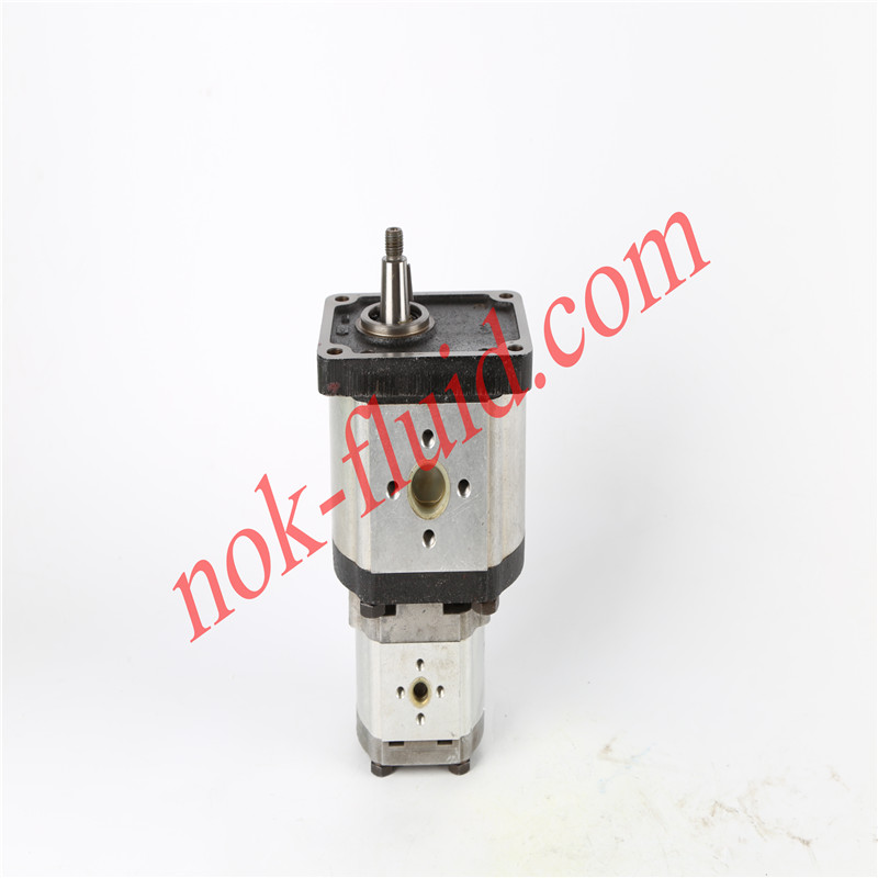 CASAPPA GEAR PUMP PLP30.34D0-83E3-LED/EB-N-FS+PLP20.6.3D0-82E2-LEA/EA-N-EL-FS