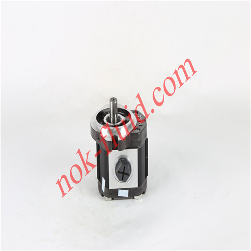 MARZOCCHI GEAR PUMP ELI2A-D-9.6-C1-FA-N