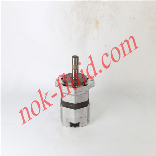 INTEGRAL HYDRAULIK Hydraulic Pump PT4-31.5(Nr. 411-1319-014-031)