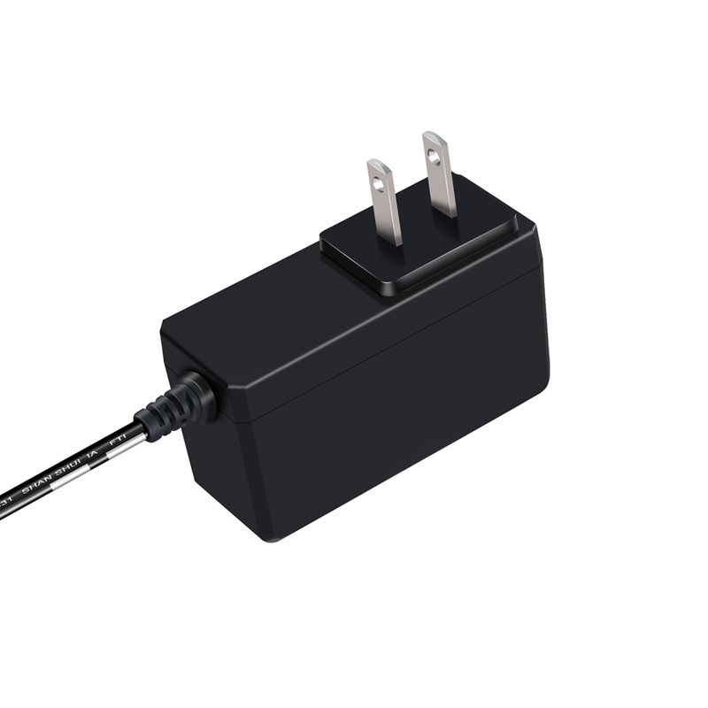 24W Series America Class 2 External Power Converter
