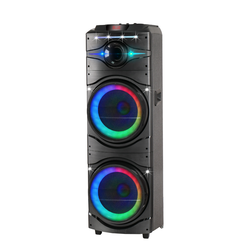 Longwind | Dual 12 Inch Big Bass Wireless Bluetooth Party Speaker with ...