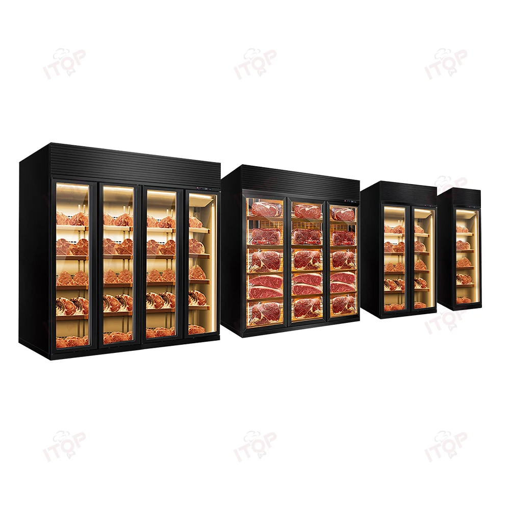 Matured Steak Dry Aging Refrigerator Beef Dry Ager Fridge Cabinet