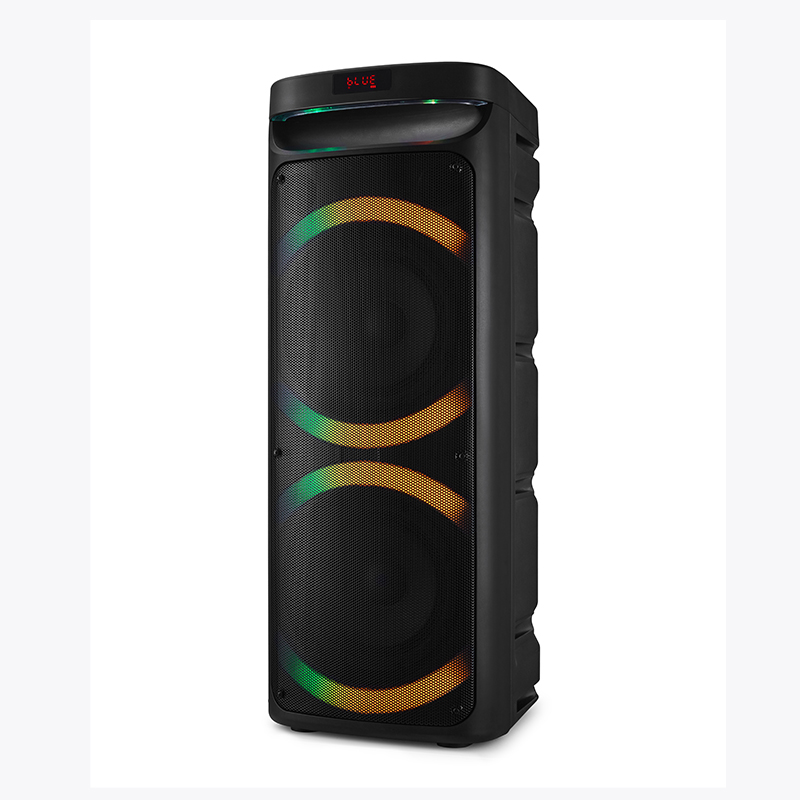 Portable Dual 8" Party Speaker With JBL Lighting Effect PT989