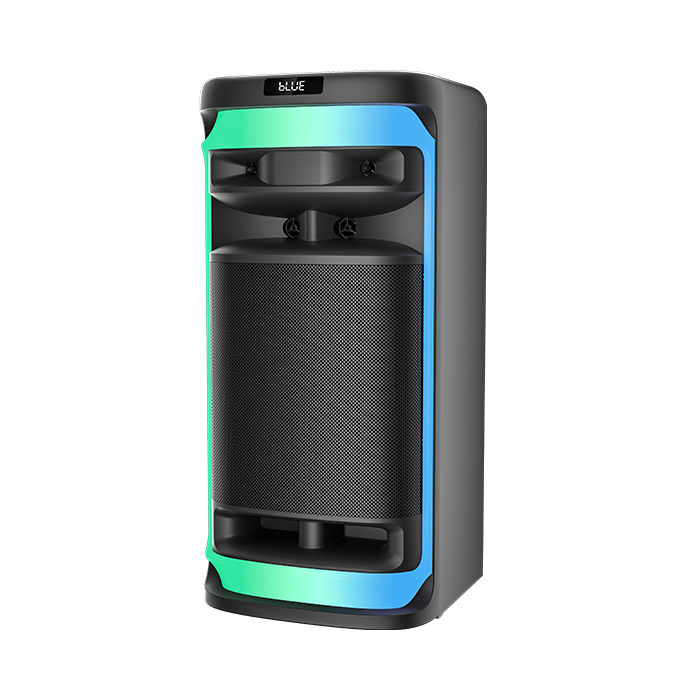 RGB Party Speaker Super Loud Single Woofer Heavy Bass Sound System PT1525