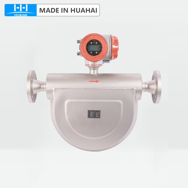 Focmass 9101 Mass Flowmeters