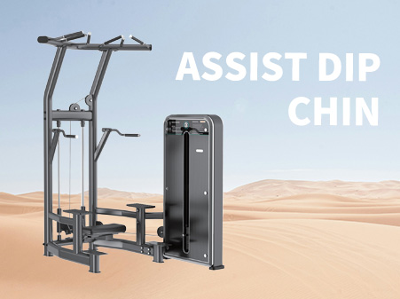 What muscle does a assist dip chin machine work?