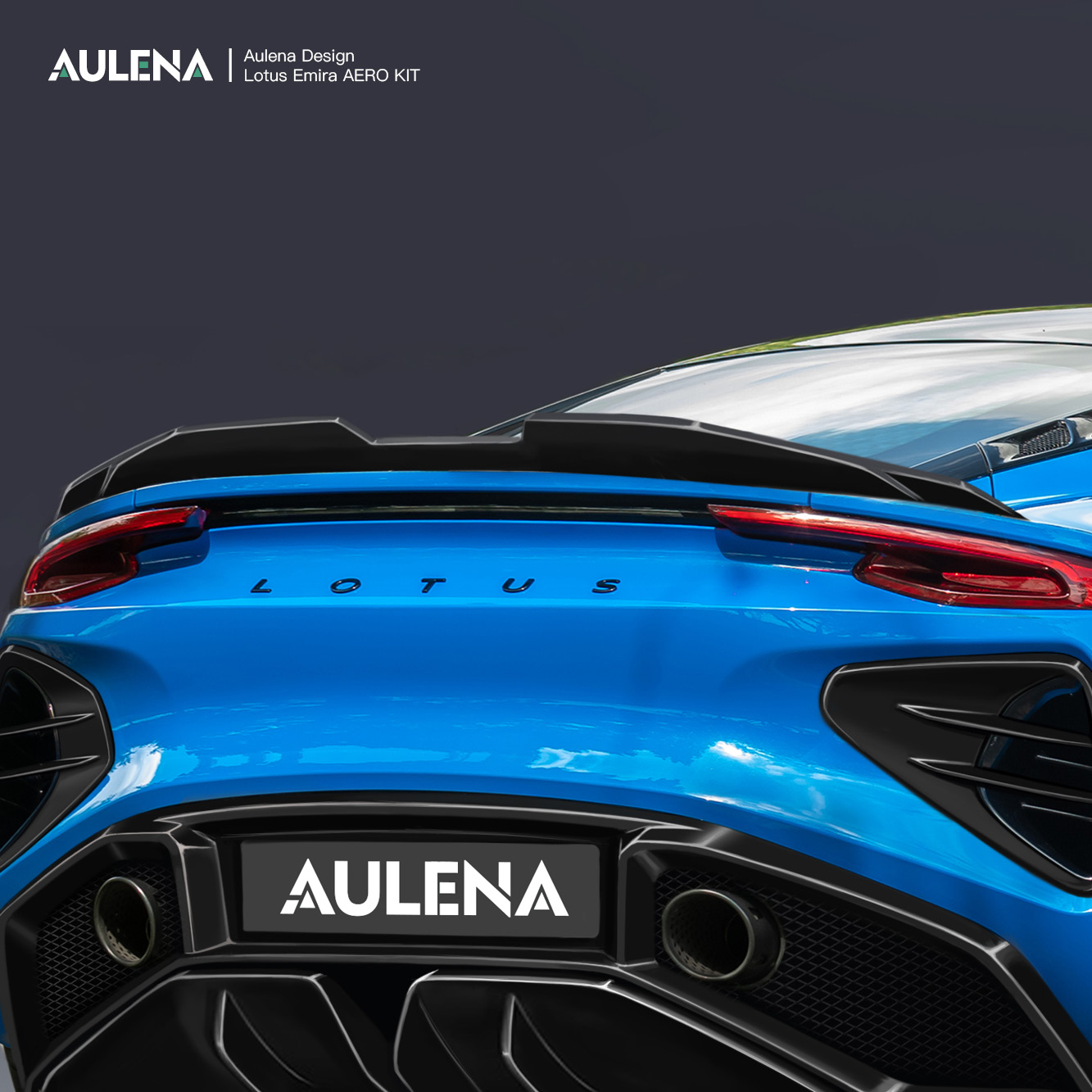 Aulena Design dry carbon performance Rear Wing