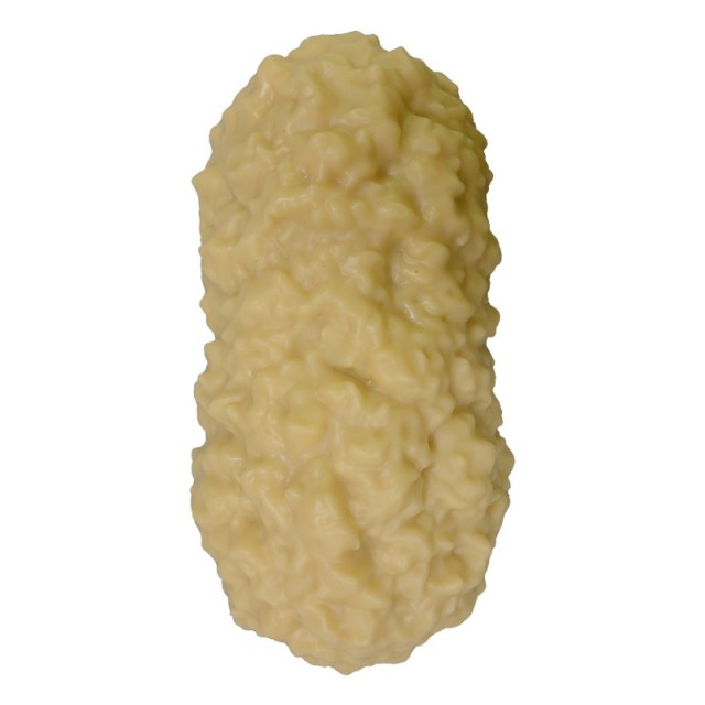 6.5kgs Human Fat Replica for Wholesale at Factory Price