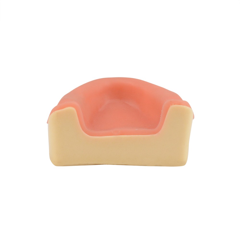 Maxillary Edentulous Model for Dental Implant Training, Soft Tissue