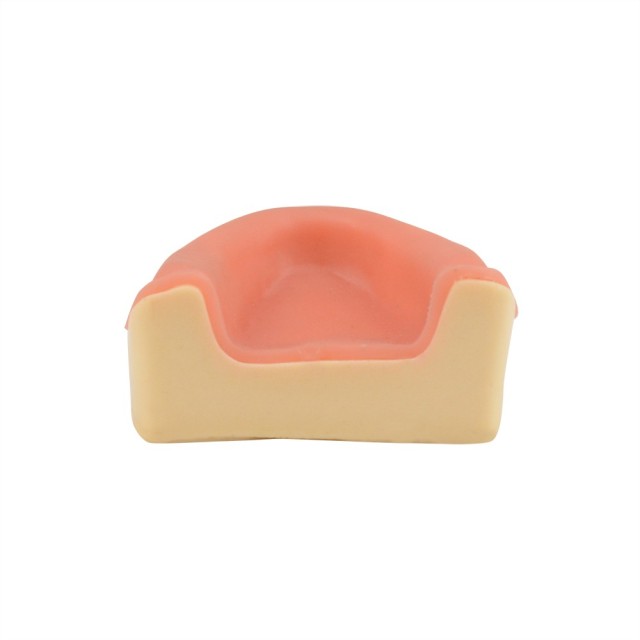 Maxillary Edentulous Model for Dental Implant Training, Soft Tissue