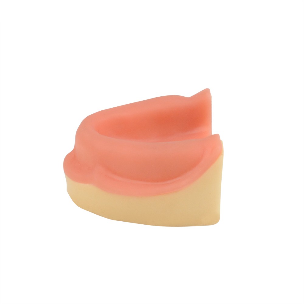 Maxillary Edentulous Model for Dental Implant Training, Soft Tissue