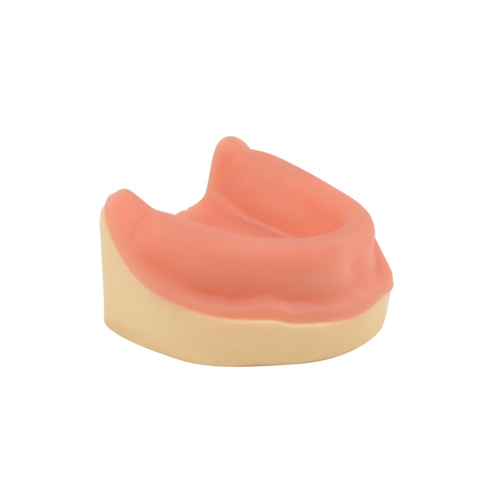 Maxillary Edentulous Model for Dental Implant Training, Soft Tissue