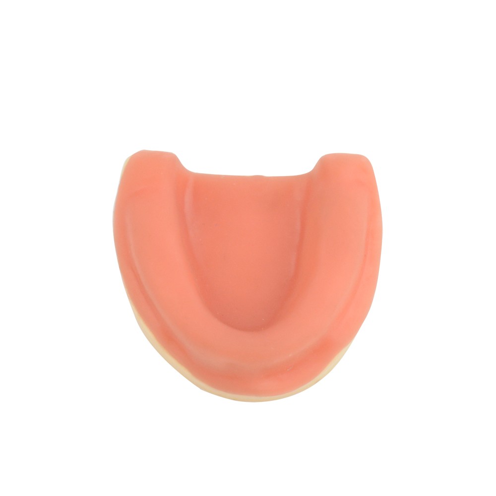 Maxillary Edentulous Model for Dental Implant Training, Soft Tissue